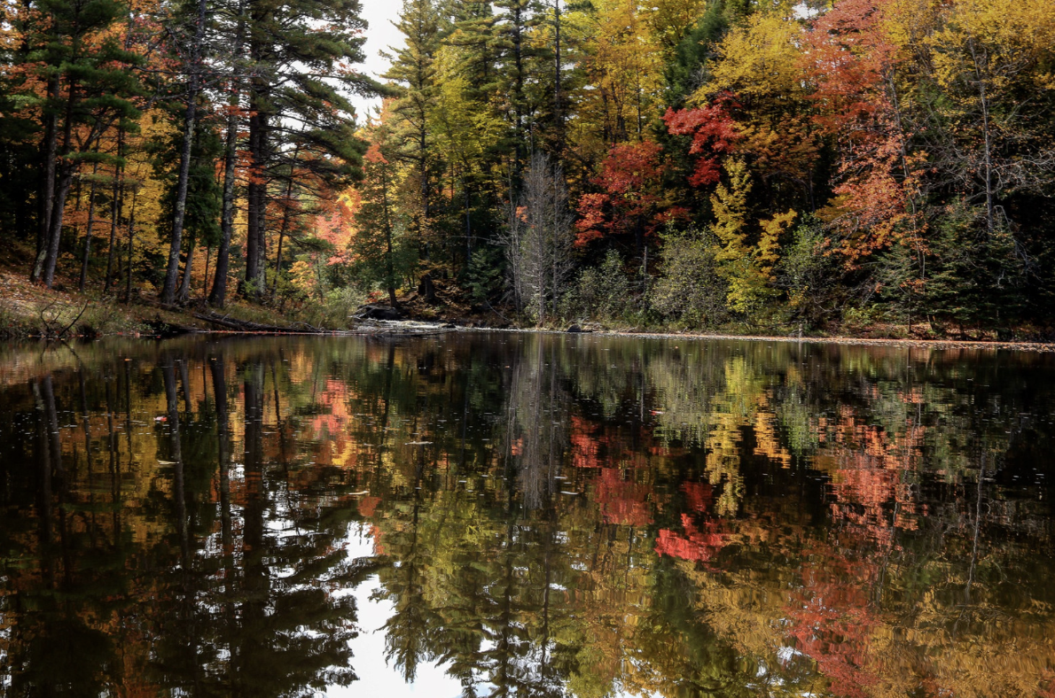 5 Reasons to Move to West Michigan