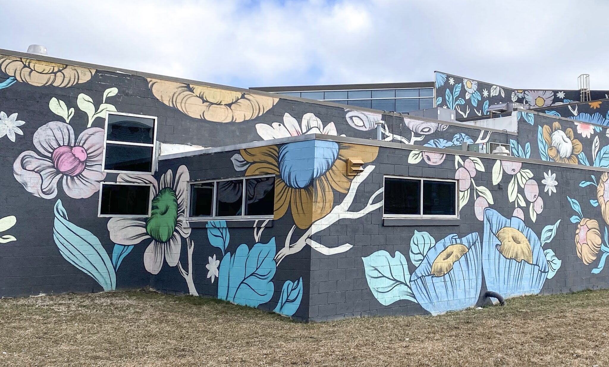 25 Murals You’ll Love in Grand Rapids