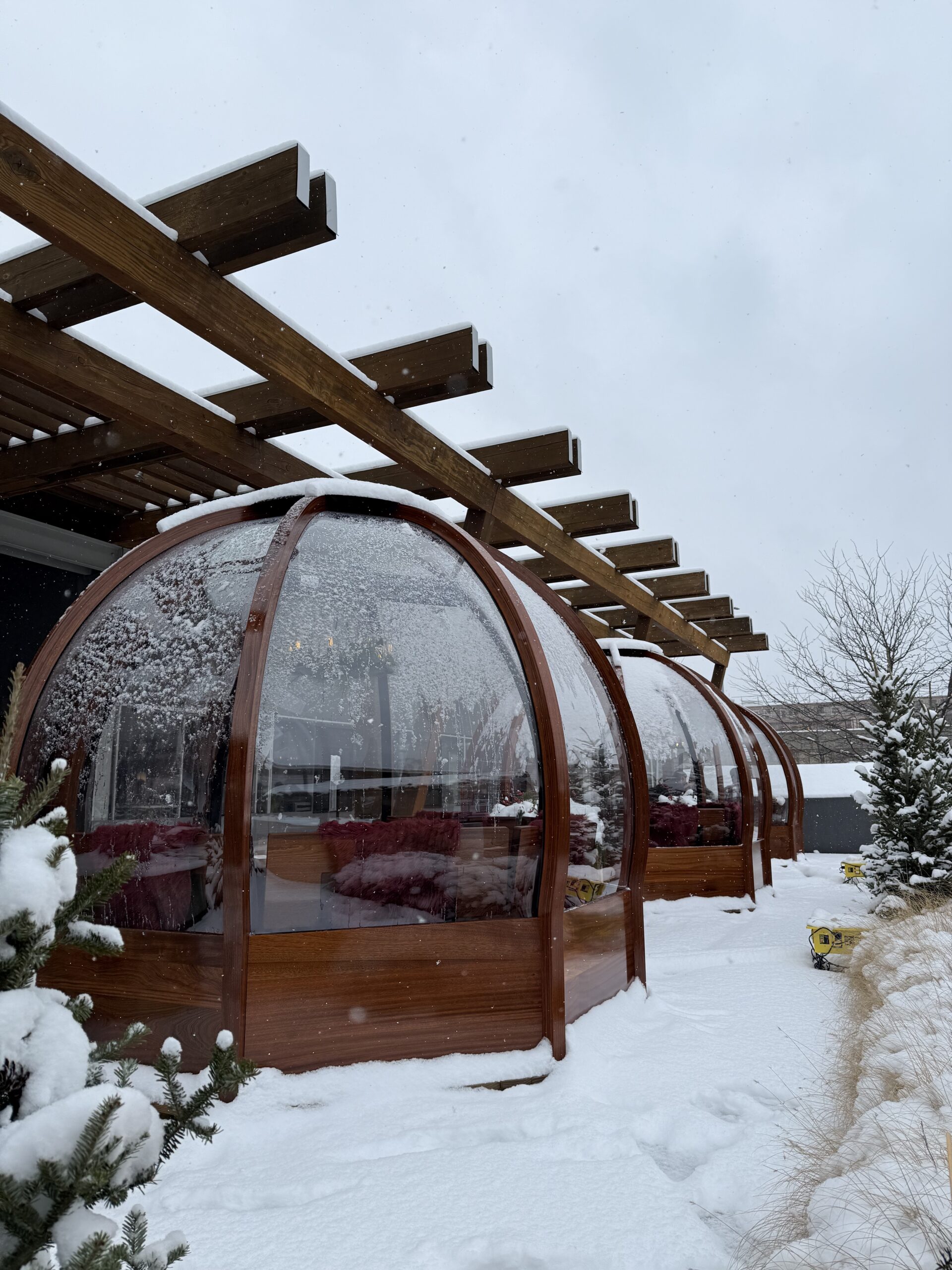 Winter in West Michigan | 2025 - The Local Element West Michigan